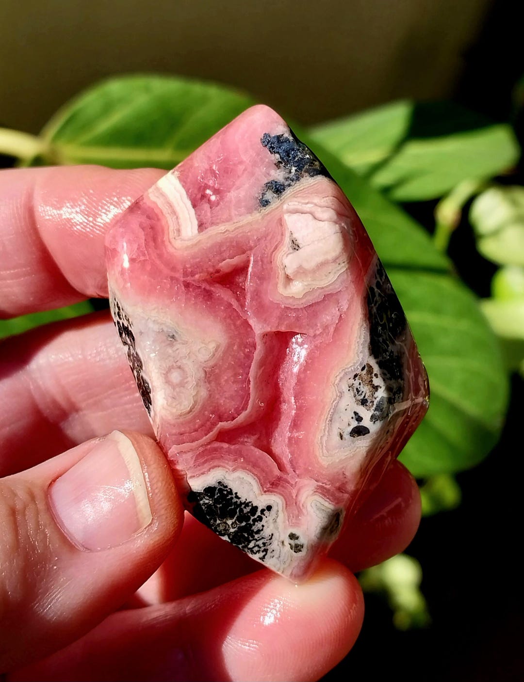 Bright Gem Rhodochrosite Freeform. Rhodochrosite From Argentina ...