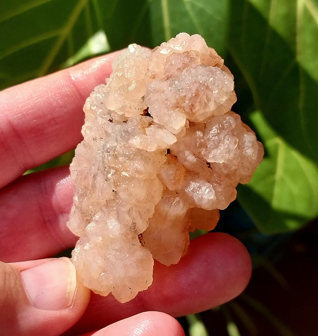 Blush UV Reactive Pink Rose Skeletal Calcite Flower From Madagascar ...