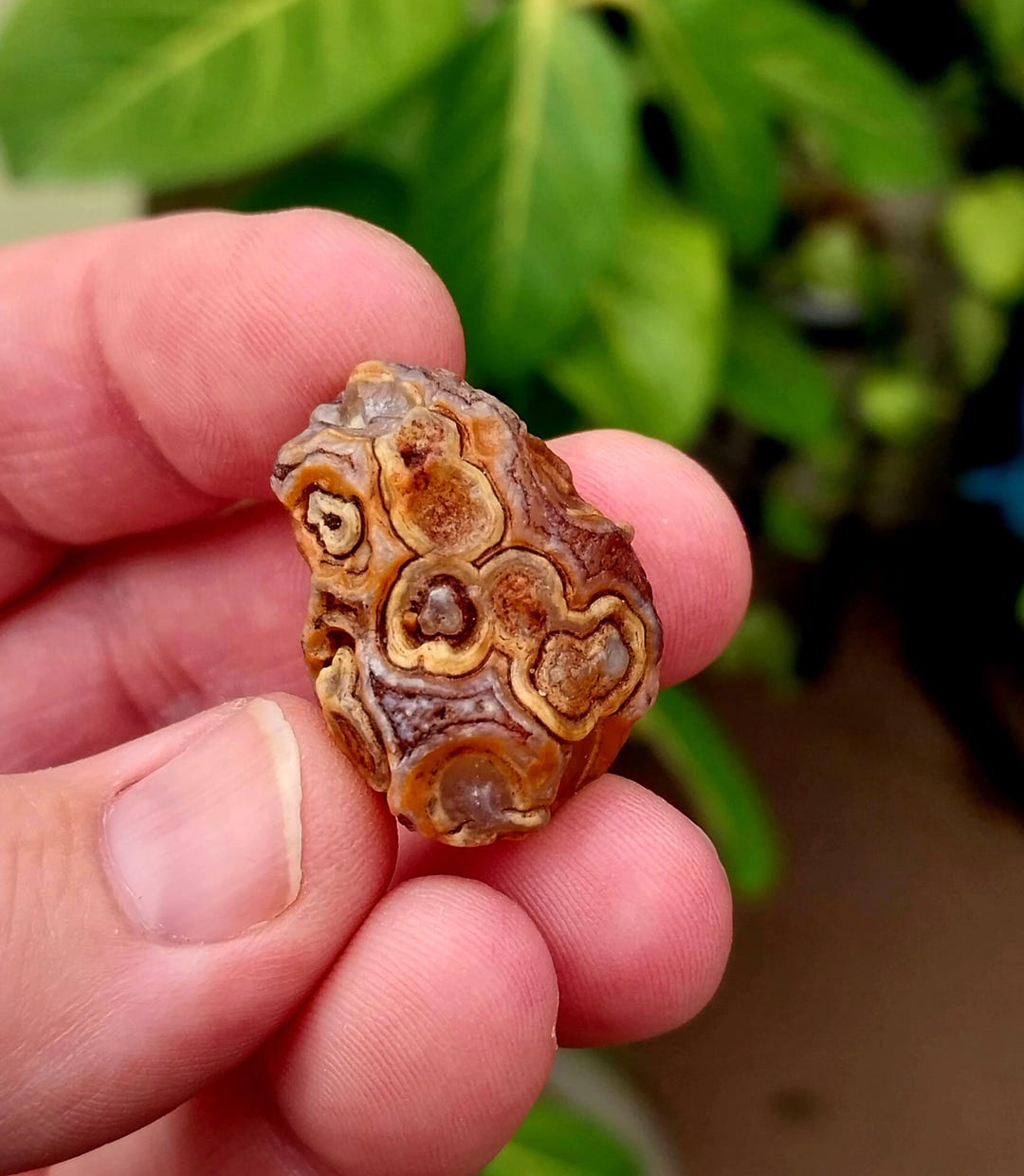 Extremely Rare Purple and Pink Gobi Eye Agate Palmstone! Colorful Gobi ...
