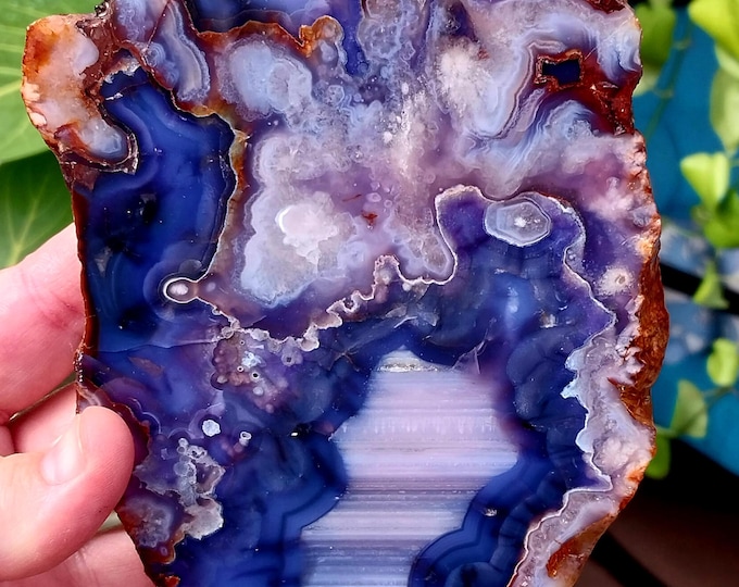 Fantastic Banded Blue Flower Agate Slab Flower Agate Slab. Flower Agate ...