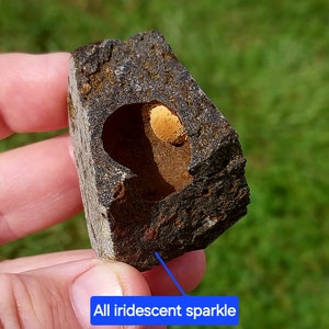 Rare Botroiydal Globular Yellow Calcite in Basalt Matrix! Rare Minerals ...