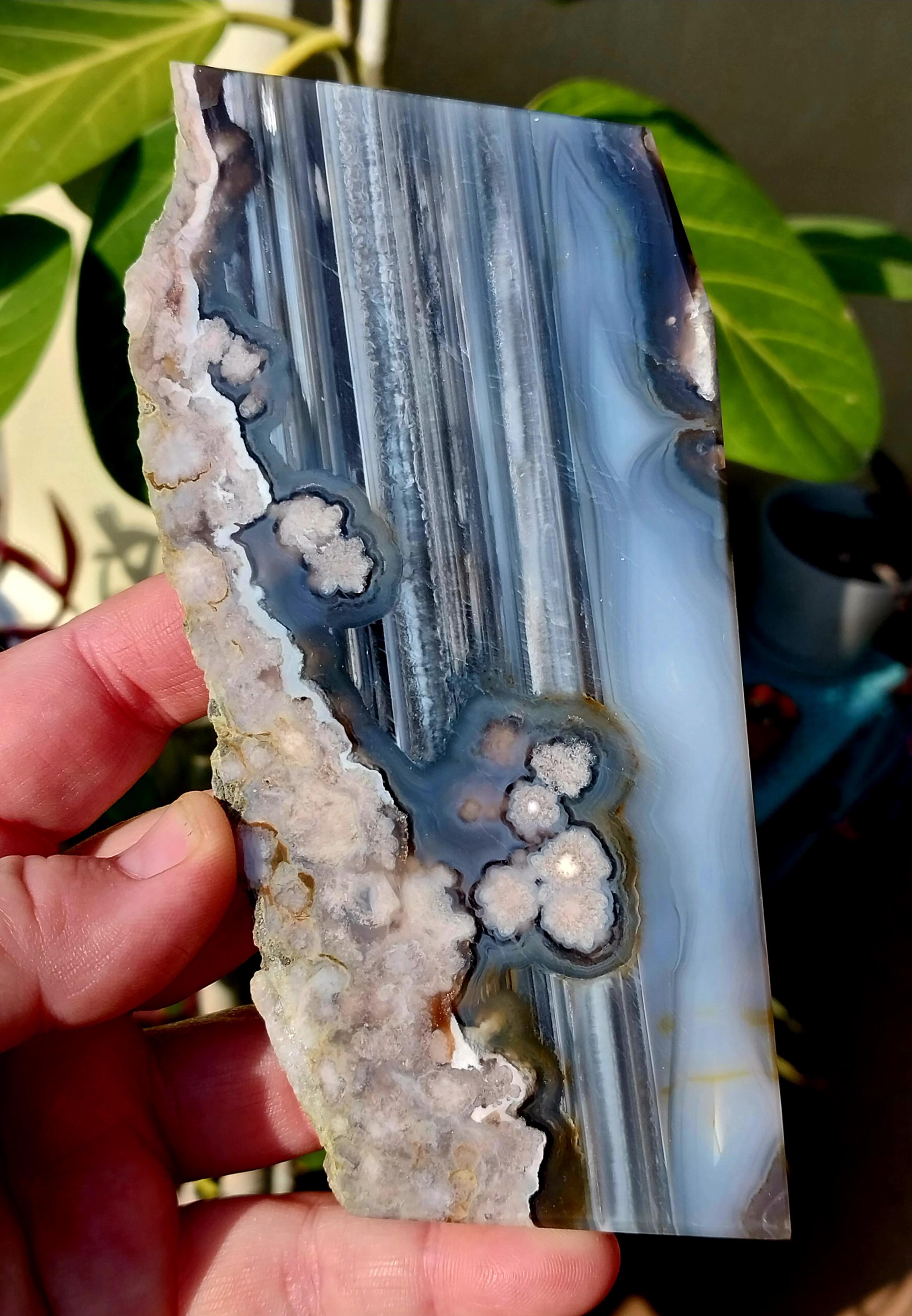 Bodacious Banded Blue Flower Agate Slab! Flower Agate Slab. Flower ...