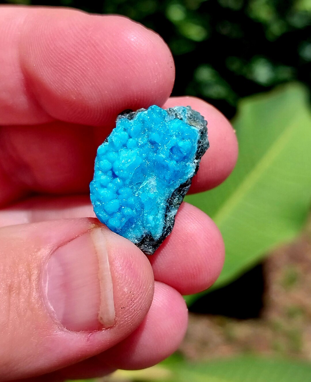 Rare High Quality Utah Gibbsite Specimen Gibbsite. Utah Minerals ...