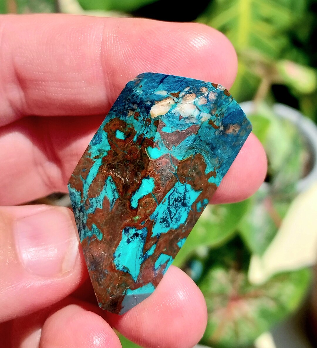 Amazing and Vibrant Phoenix Freeform. Phoenix Freeform. Crystal ...