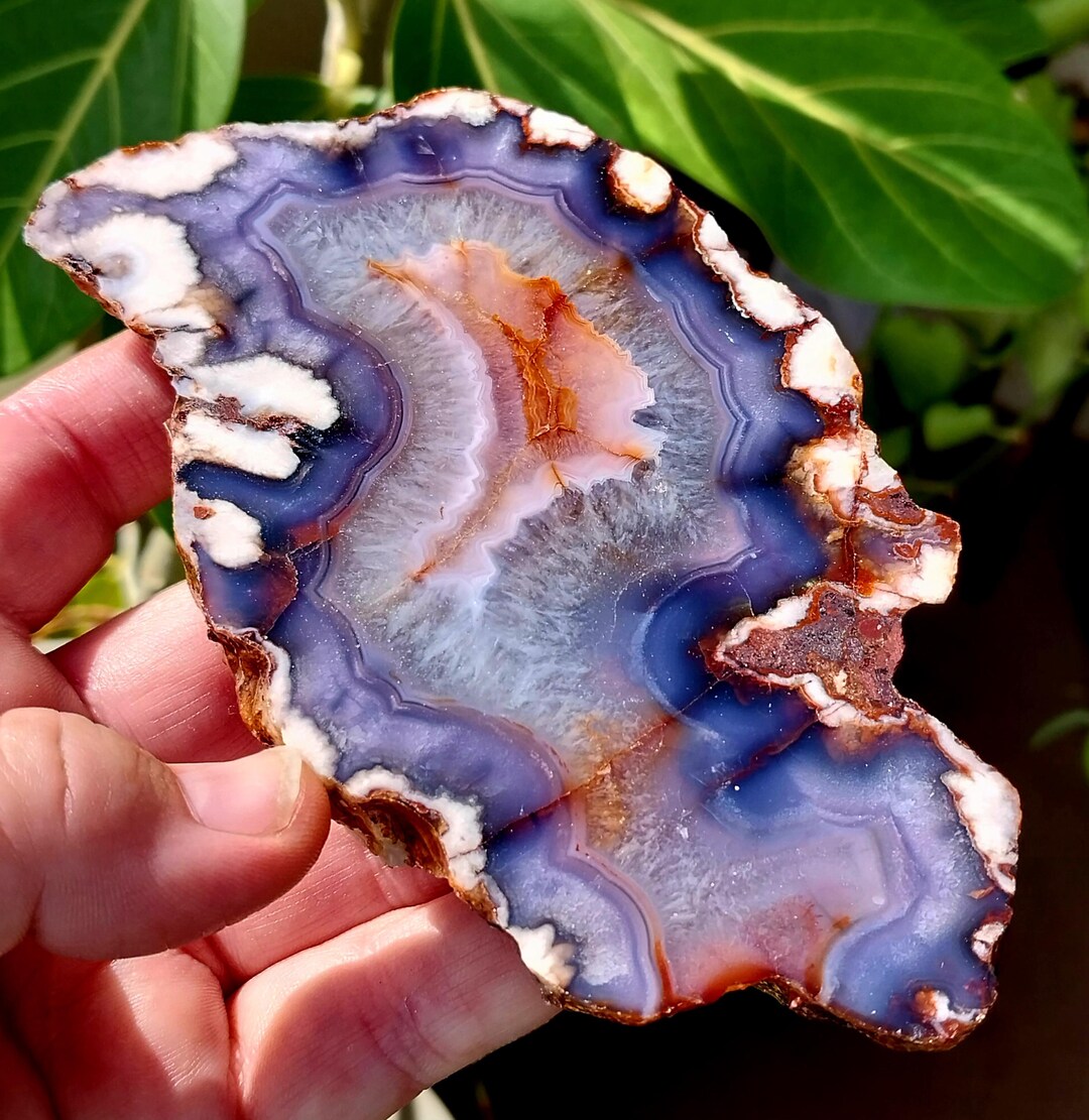 Dazzling Banded Blue Flower Agate Slab! Flower Agate Slab. Flower Agate ...