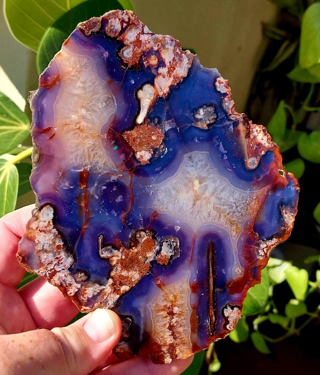Dazzling Banded Blue Flower Agate Slab Flower Agate Slab. Flower Agate ...