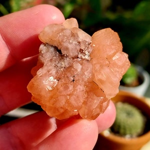 Rare Form UV Reactive Pink Rose Skeletal Calcite Flower From Madagascar ...