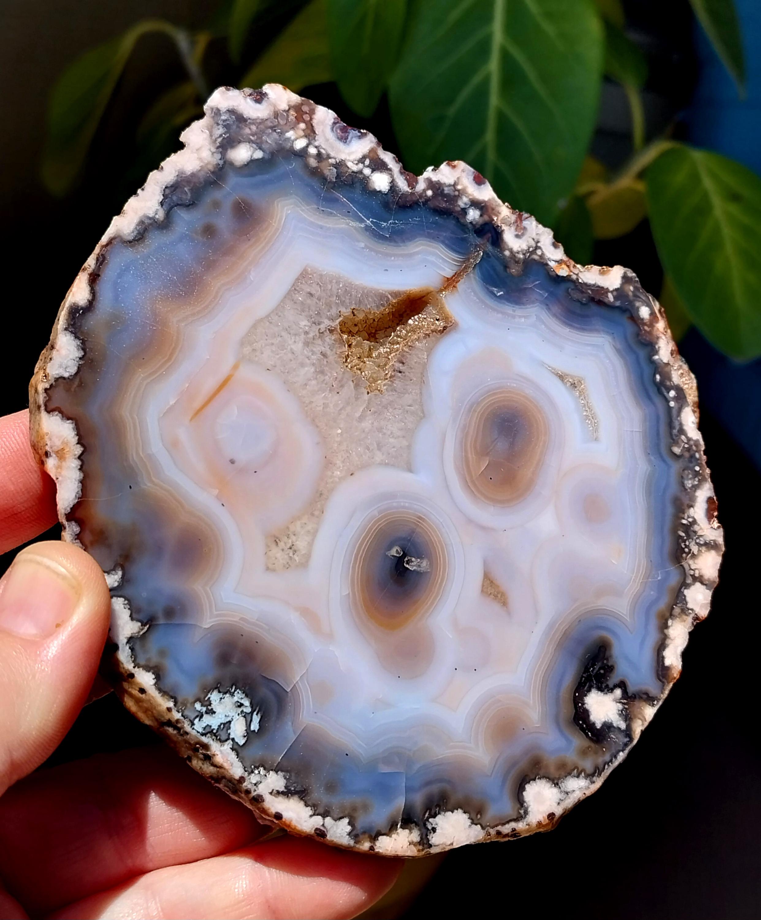 Druzy Banded Blue Flower Agate Slab! Flower Agate Slab. Flower Agate ...