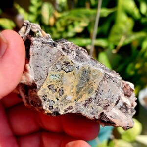 RARE Chalcopyrite on Pink Barite With Sugar Quartz on Matrix. Pink ...