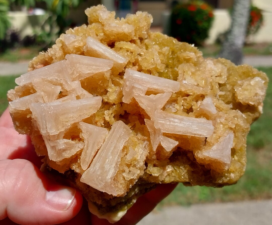 Very Special XL Super Druzy Pink Halite on Trona Specimen! Halite on ...