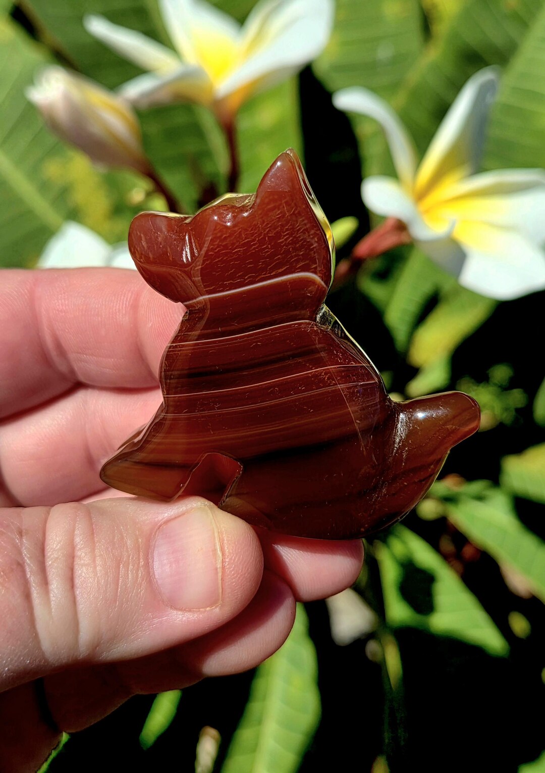 Vibrant Carnelian Dog Carving. Carnelian Dog Carving. Agate Dog. Agate ...