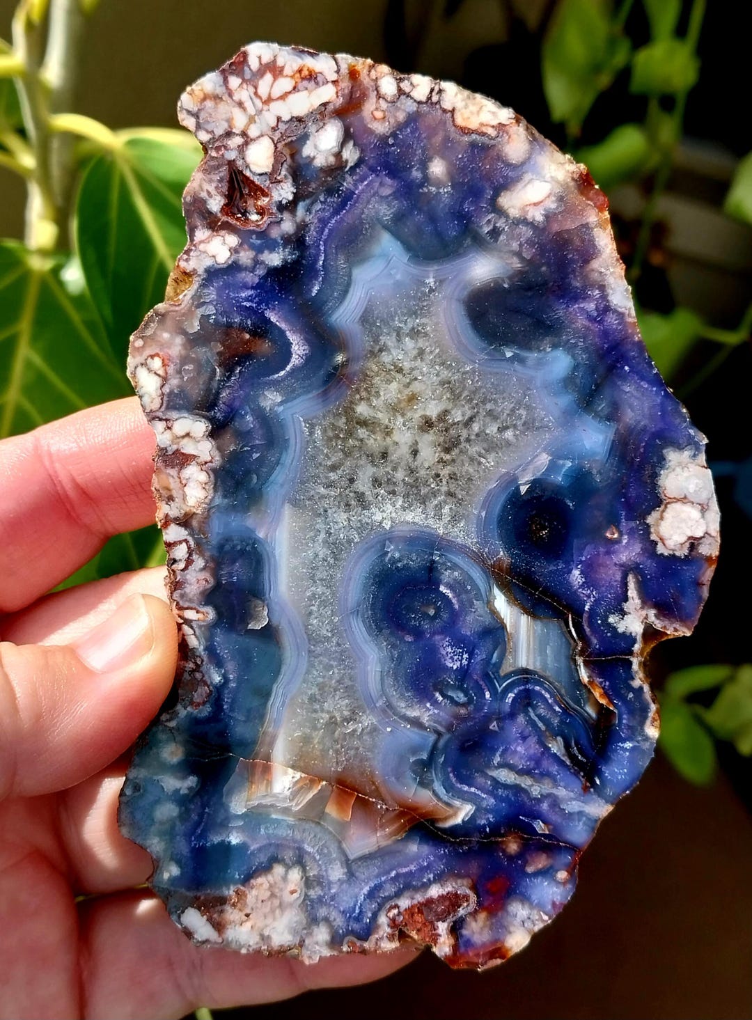 Dazzling Banded Blue Flower Agate Slab! Flower Agate Slab. Flower Agate ...