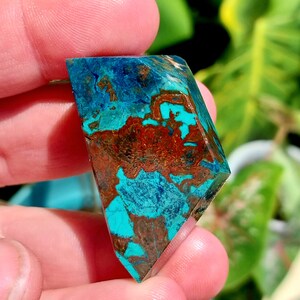 Amazing and Vibrant Phoenix Freeform. Phoenix Freeform. Crystal ...