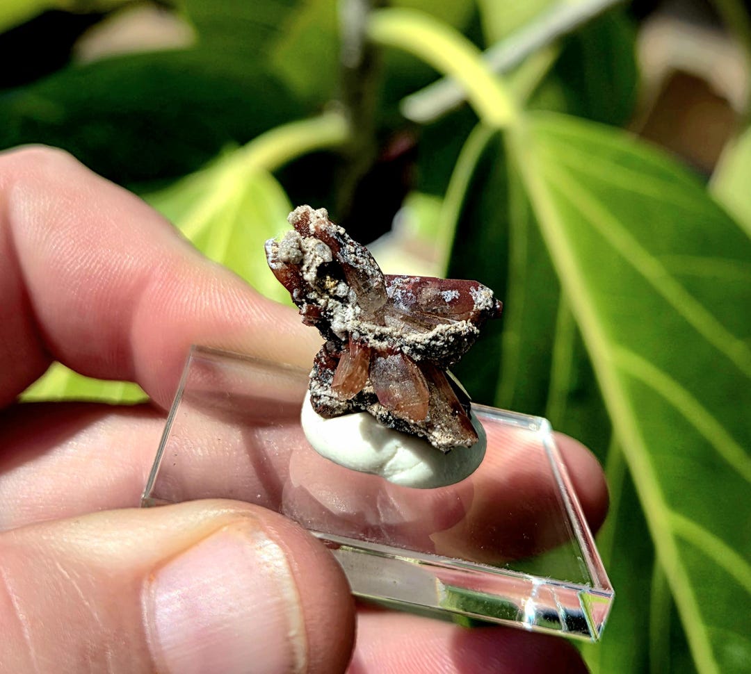 Rare Raw Mexican Topaz Specimen on Matrix! Chocolate Topaz! Red Topaz ...
