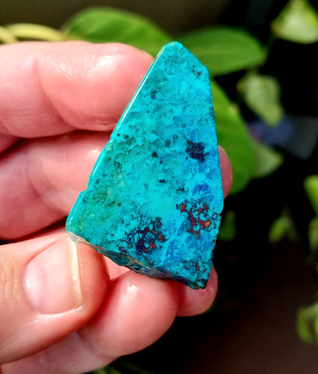 Amazing and Vibrant Phoenix Freeform. Phoenix Freeform. Crystal ...