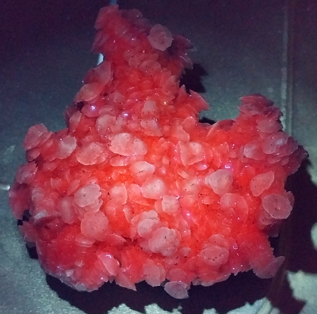 Amazing Highly UV Reactive Benz Calcite on Purple Fluorite. Bi Color ...