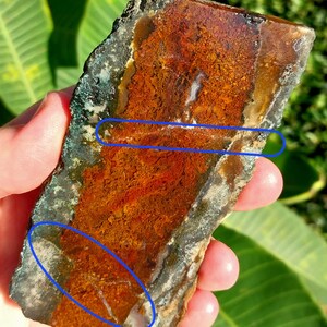 Maury Mountain Oregon Agate Slab! Oregon Agate. Oregon Agate Slab. High ...