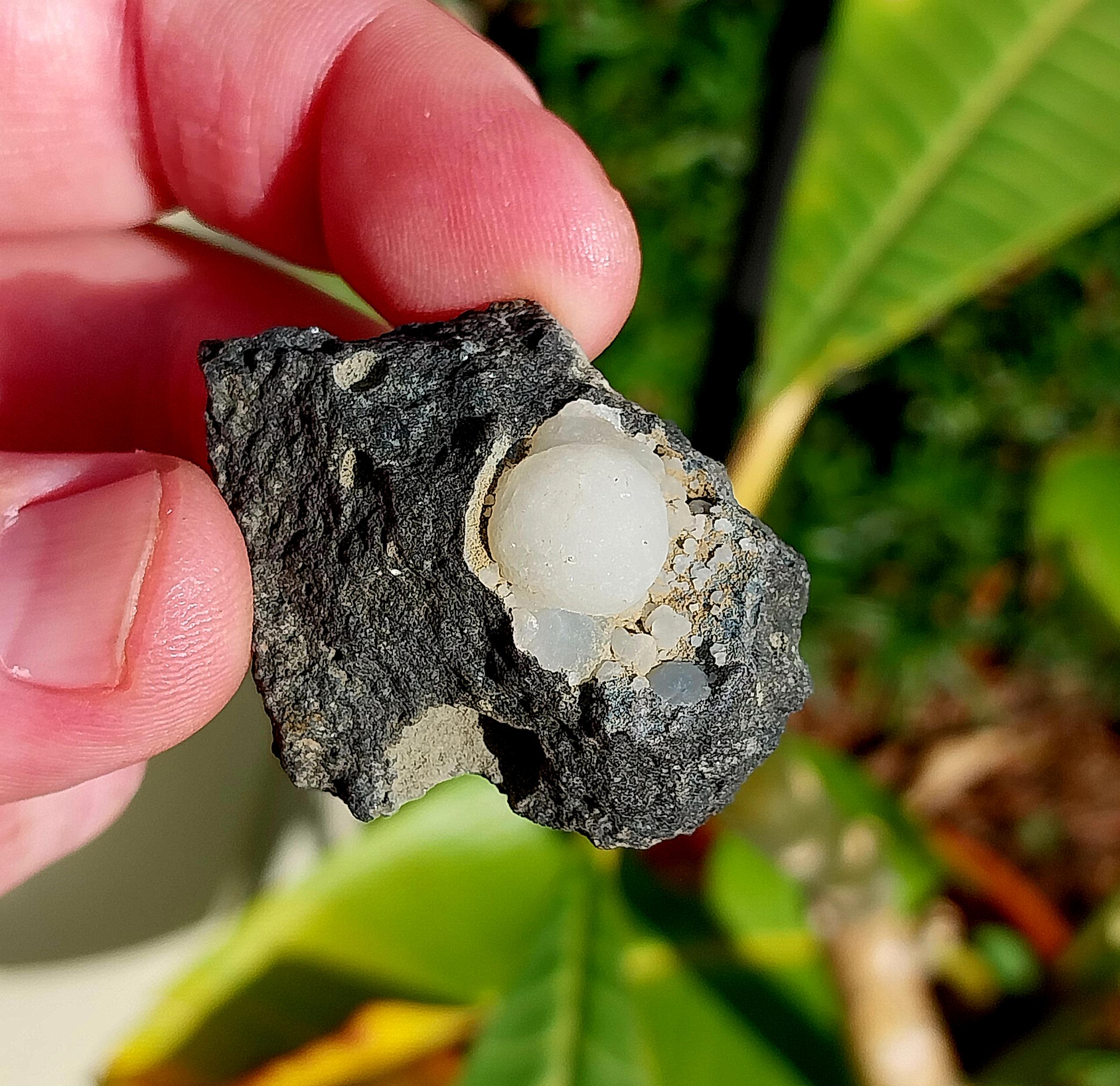 Rare Botroiydal Globular White Calcite in Basalt Matrix! Rare Minerals ...