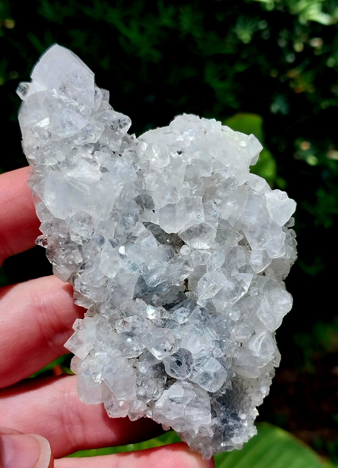 Diamond Apophyllite on Quartz Specimen! White Apophyllite. Clear ...