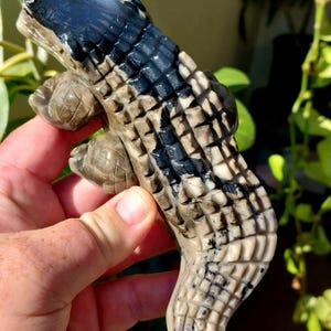 Amazing Volcano Agate Gator Agate Alligator. Volcano Agate Crocodile ...