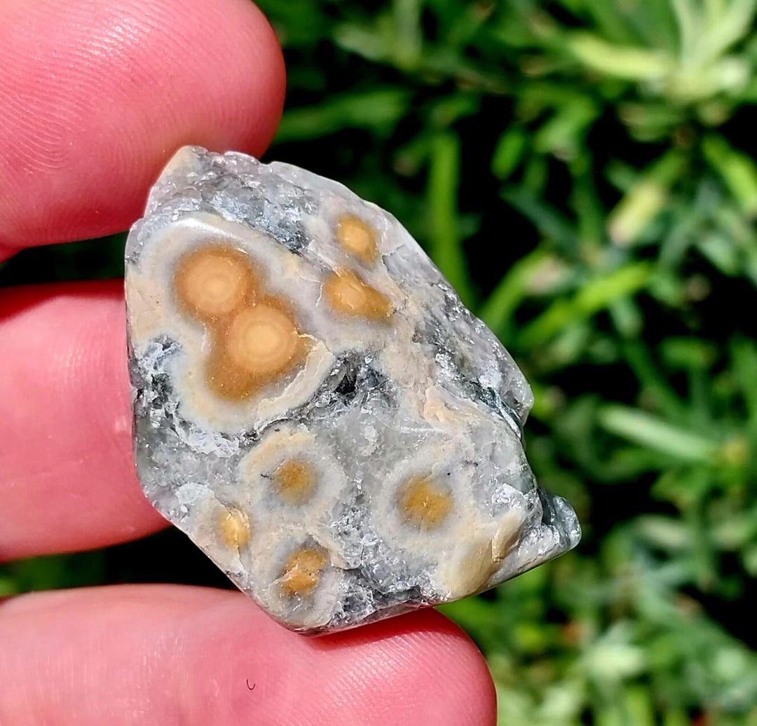 Druzy Orbicular Ocean Vein Jasper Freeform! Ocean Jasper Freeform ...