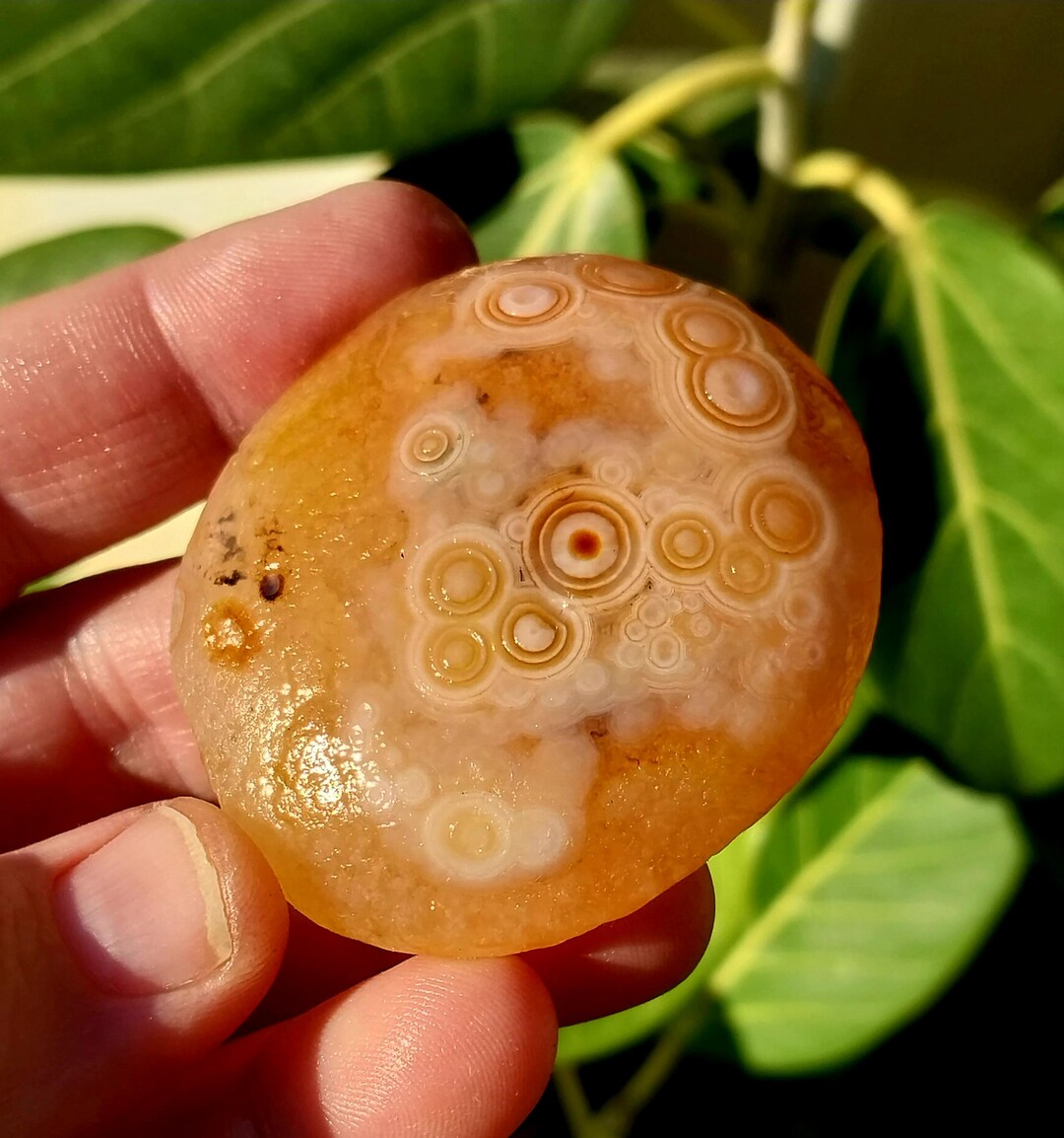 Gorgeous Gobi Eye Agate Palmstone! Gobi Eye Agate Stone. Colorful Gobi ...