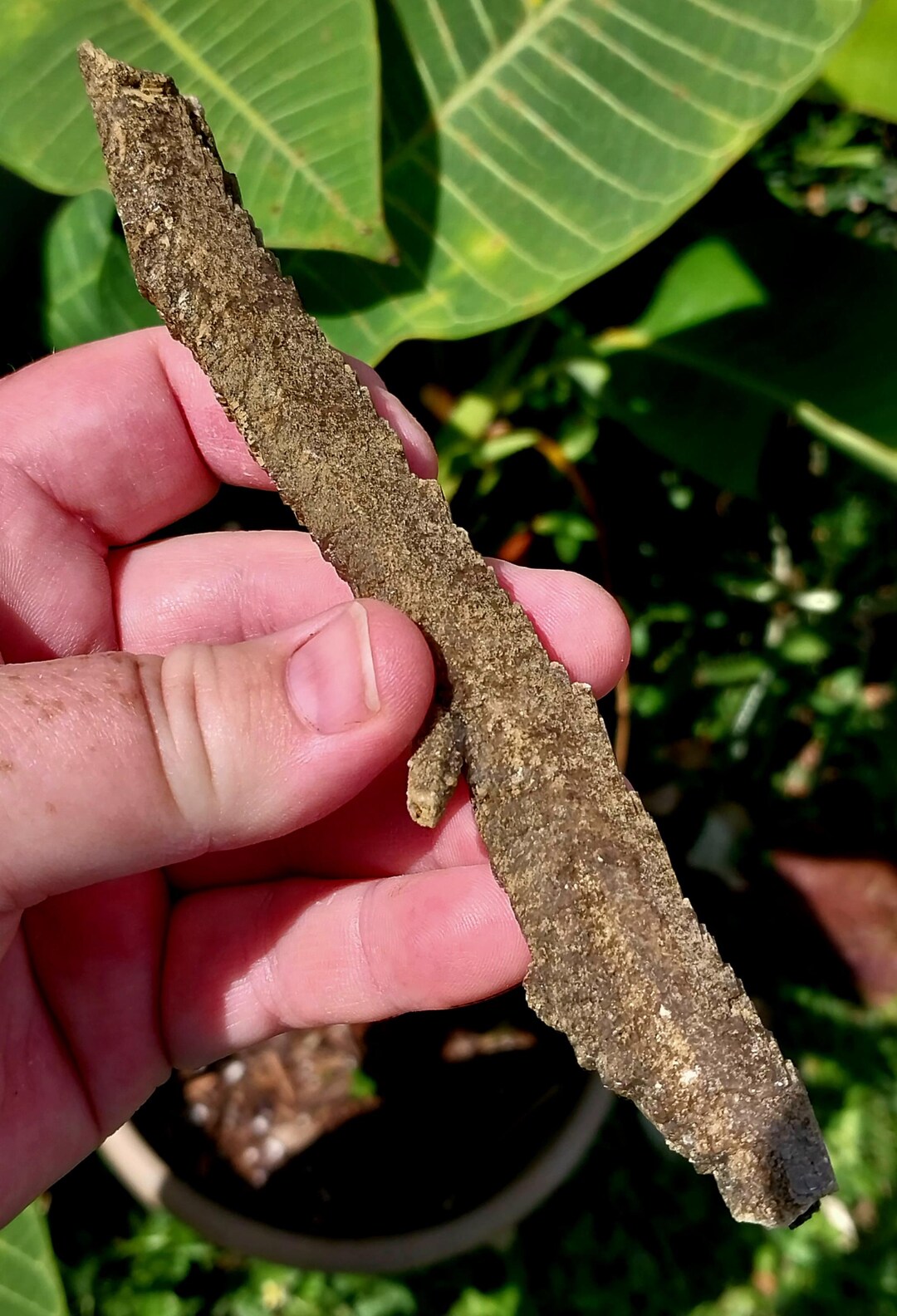 Very Special Green Keel Calcite Stalactite Specimen! Green Calcite ...
