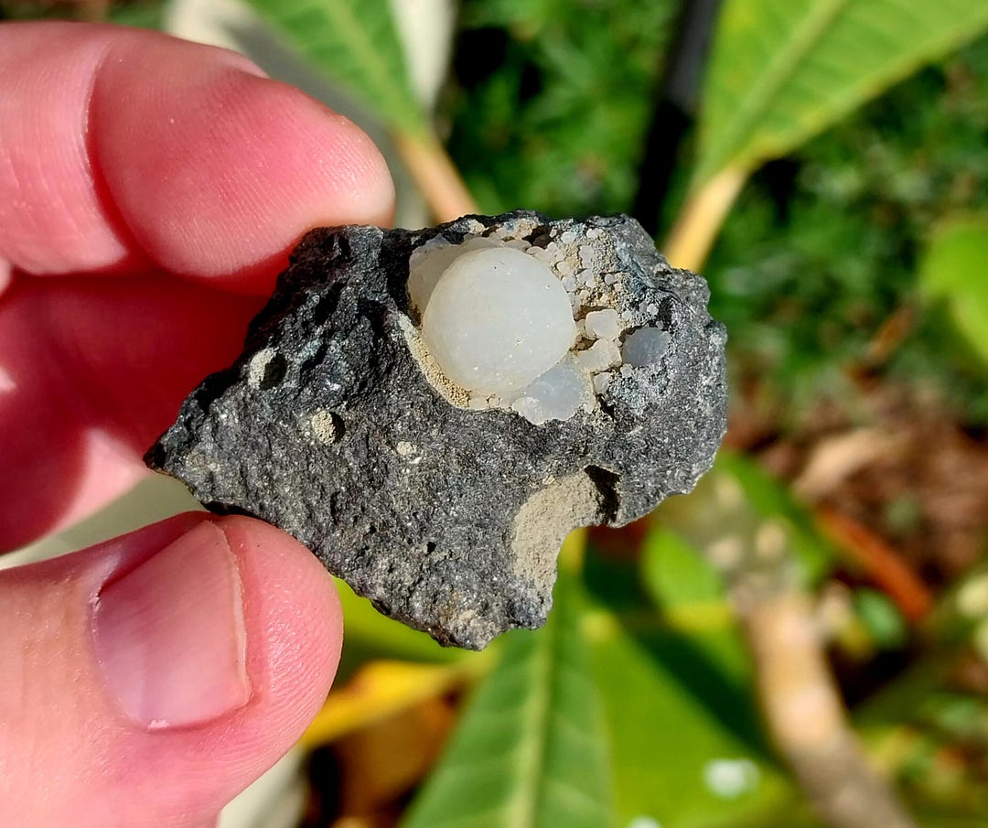 Rare Botroiydal Globular White Calcite in Basalt Matrix! Rare Minerals ...