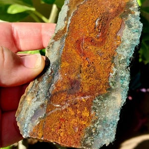 Maury Mountain Oregon Agate Slab! Oregon Agate. Oregon Agate Slab. High ...