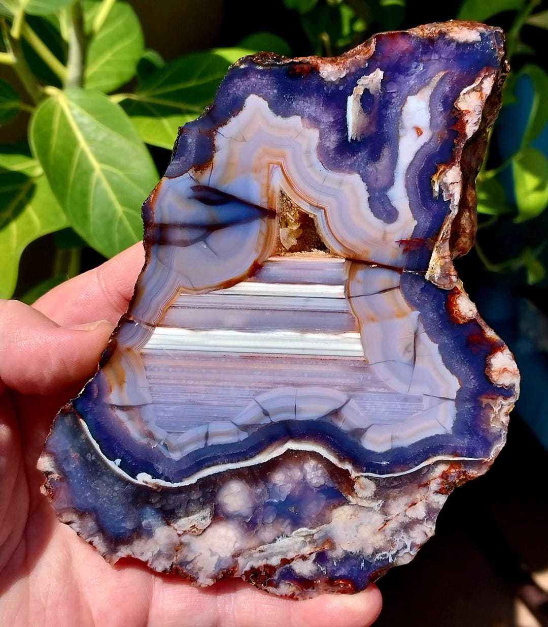 Beautiful Banded Blue Flower Agate Slab Flower Agate Slab. Flower Agate ...