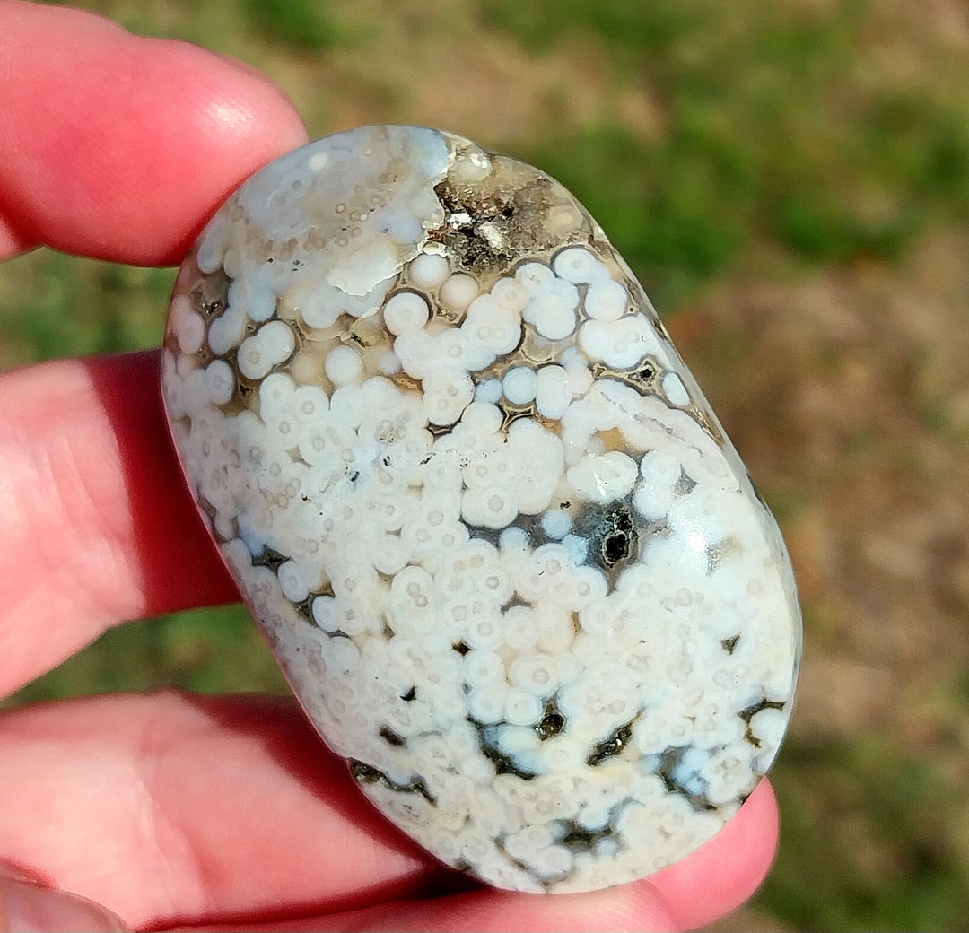 RARE Orbicular 6th Vein Ocean Jasper Palmstone. 6th Vein Jasper. Rare ...