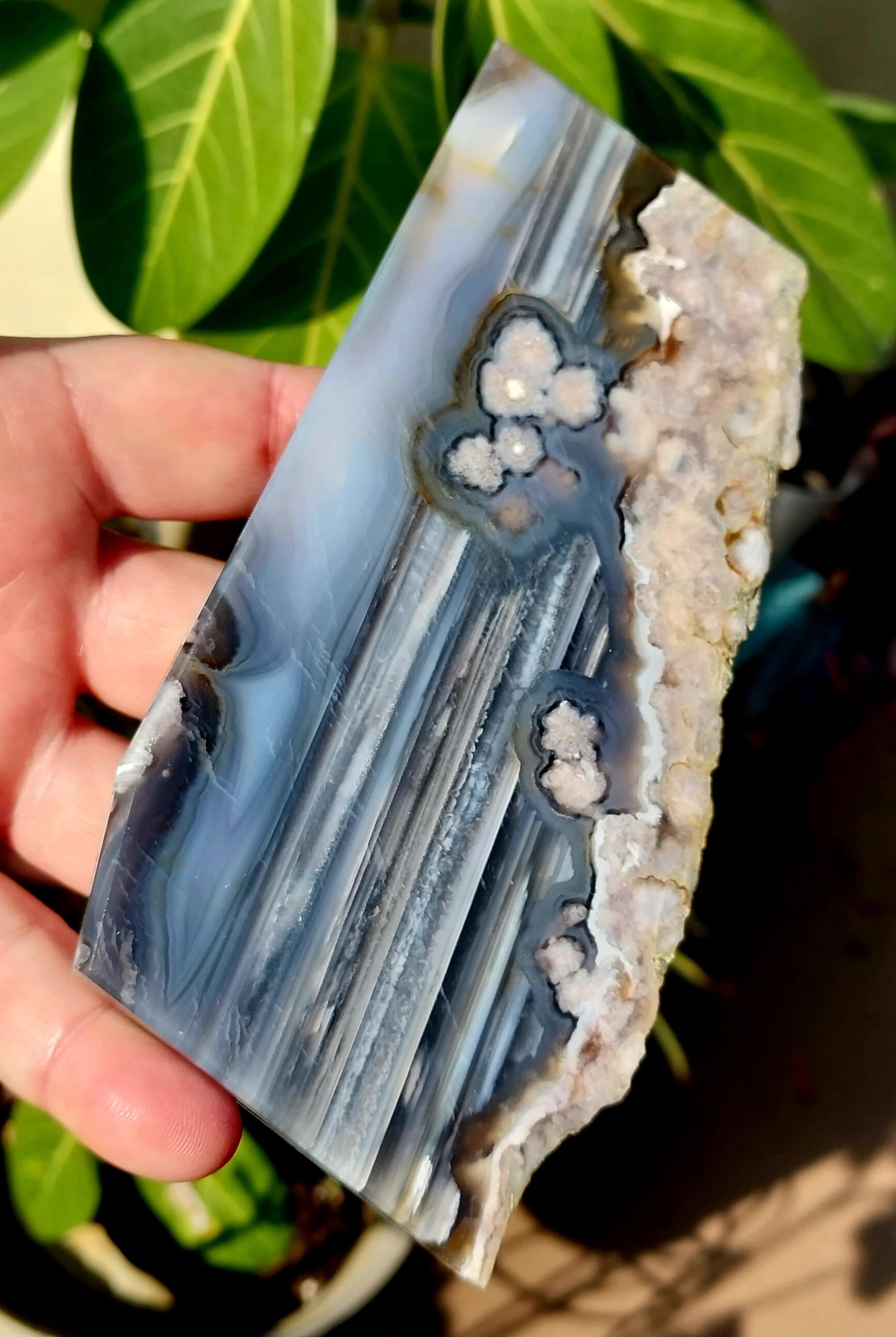 Bodacious Banded Blue Flower Agate Slab! Flower Agate Slab. Flower ...