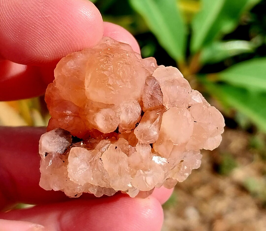 Rare Form UV Reactive Pink Rose Skeletal Calcite Flower From Madagascar ...