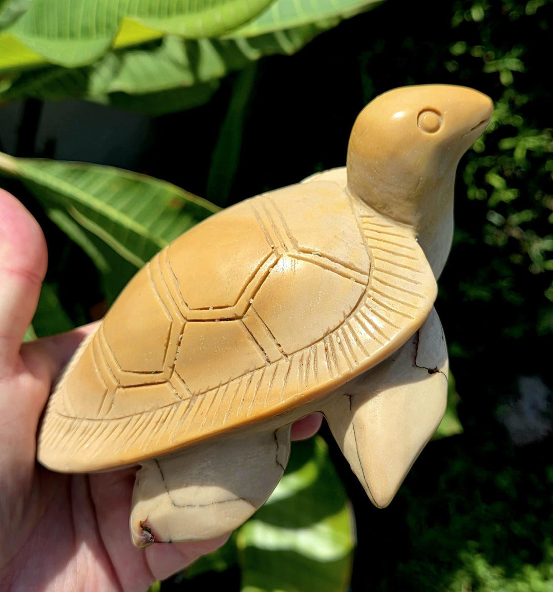Extra Large Mookaite Sea Turtle! Mookaite Carving. Mookaite Turtle ...
