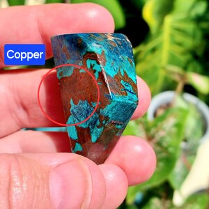 Amazing and Vibrant Phoenix Freeform. Phoenix Freeform. Crystal ...