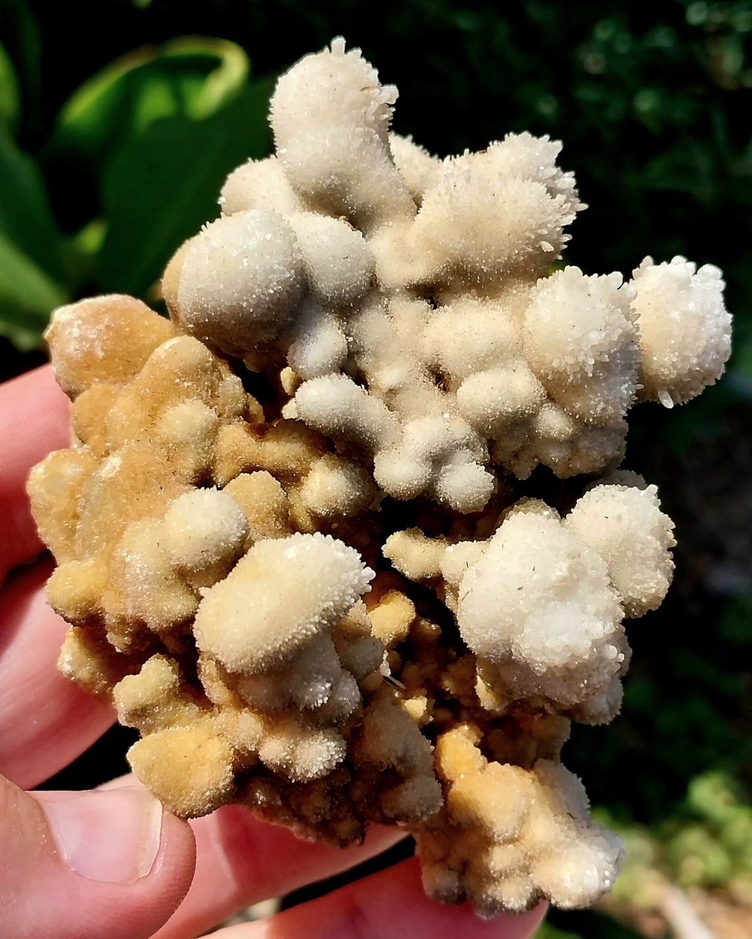 Super Cool Cave Calcite Flower Stalactite Specimen Calcite Specimen ...