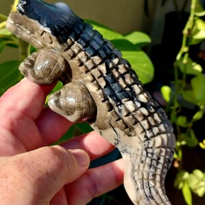 Amazing Volcano Agate Gator Agate Alligator. Volcano Agate Crocodile ...