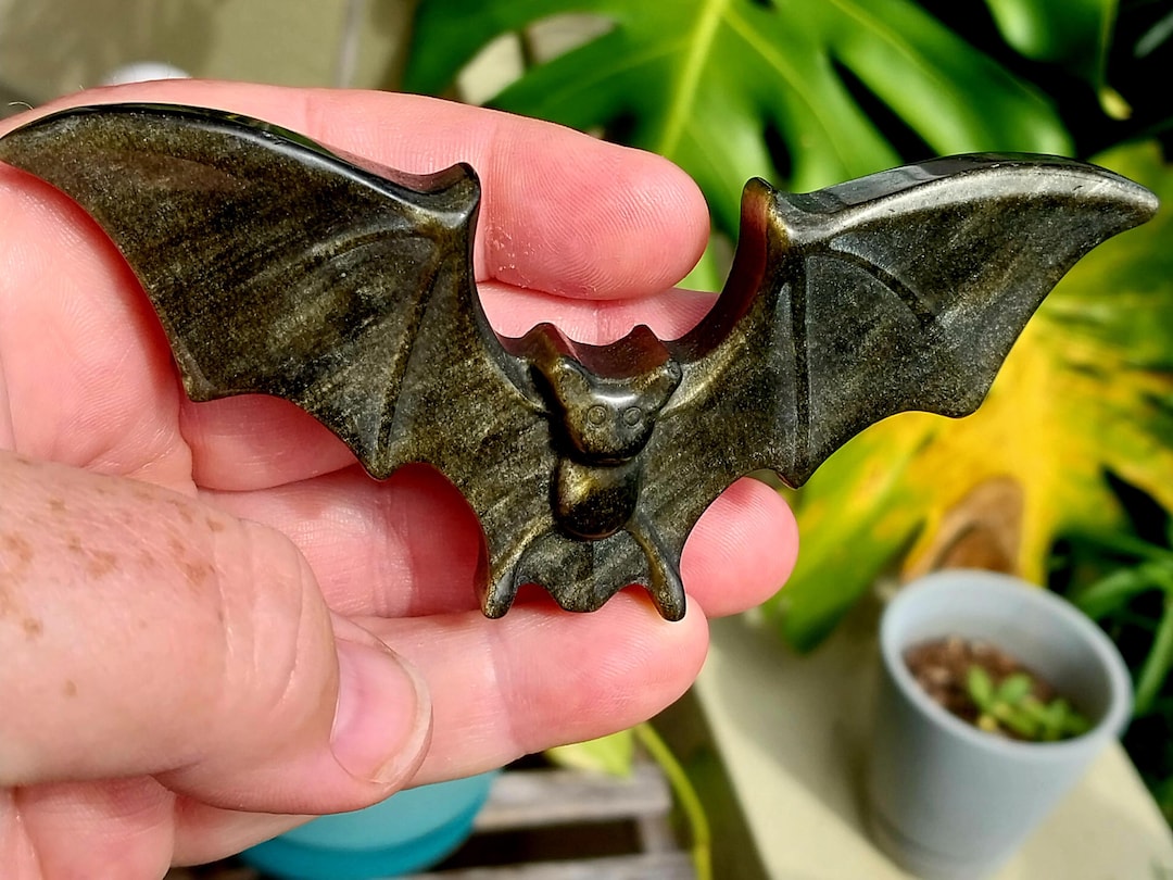 Gold Sheen Obsidian Bat Carving! Bat Crystal. Crystal Bat. Obsidian Bat ...