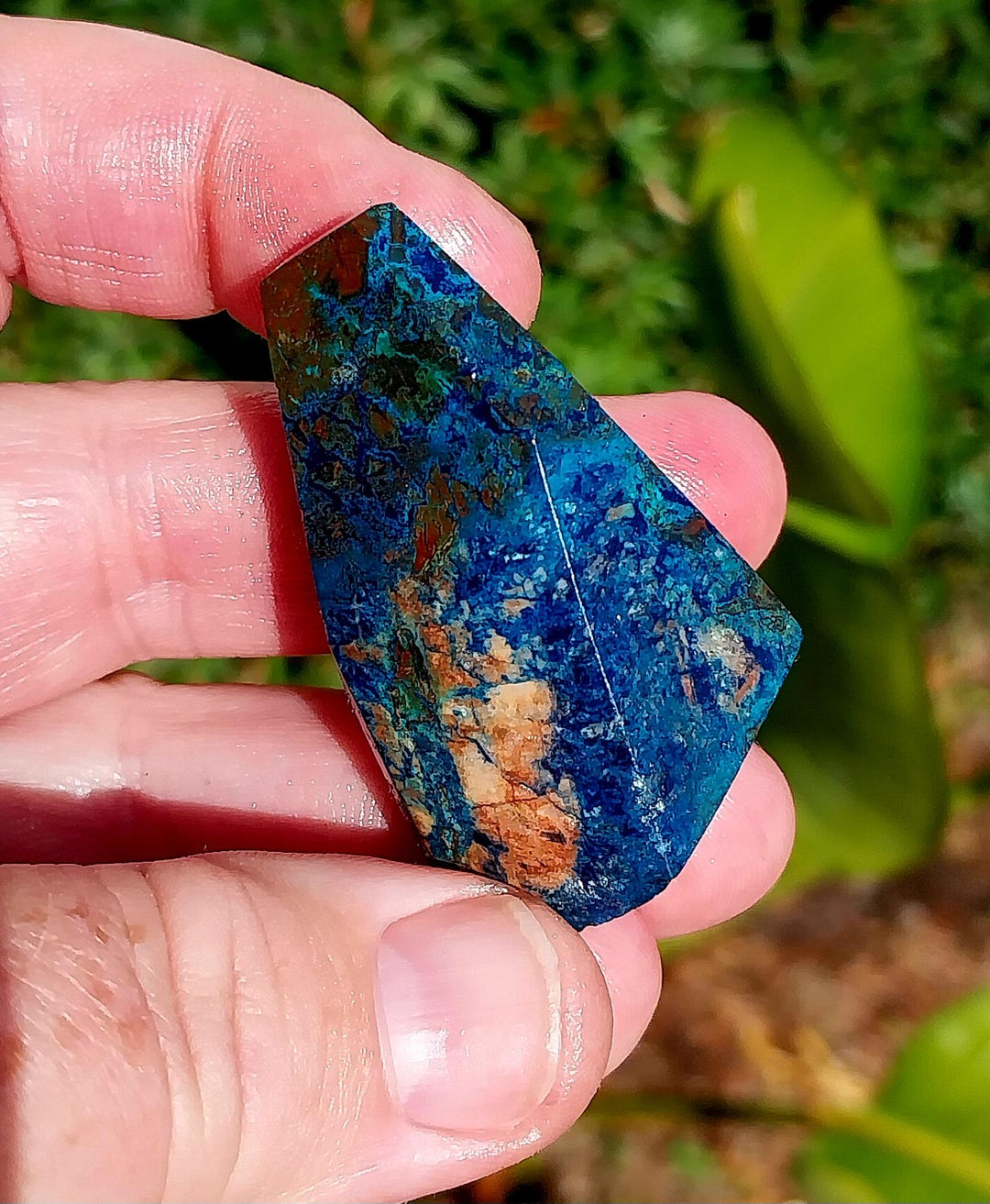 Colorful and Vibrant Phoenix Freeform. Phoenix Freeform. Crystal ...