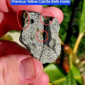 Rare Botroiydal Globular White Calcite in Basalt Matrix! Rare Minerals ...