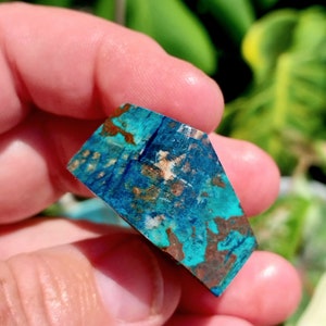 Amazing and Vibrant Phoenix Freeform. Phoenix Freeform. Crystal ...