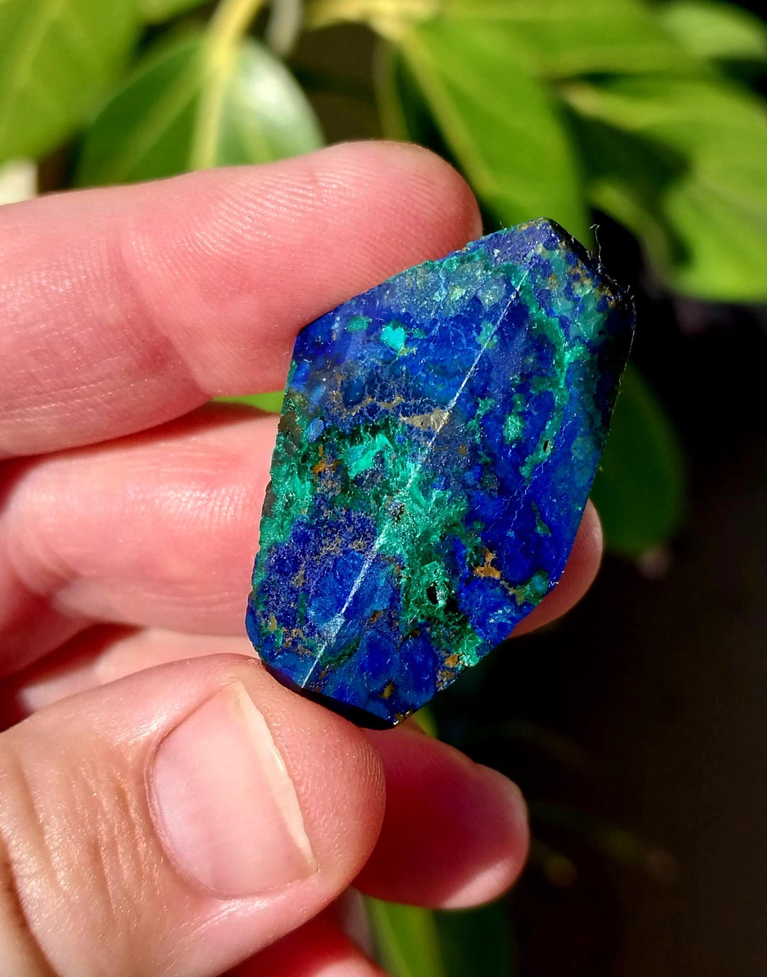 Colorful Azurite and Phoenix Freeform. Phoenix Freeform. Crystal ...