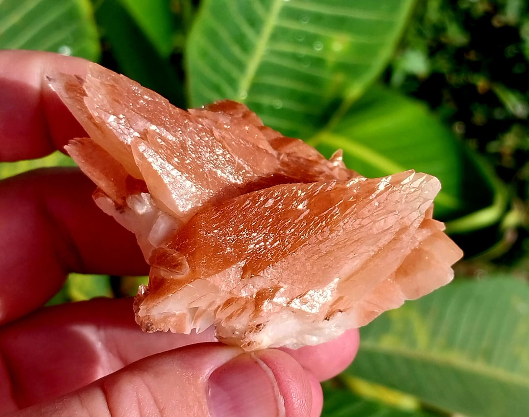 Amazing Iridescent Red Feather Calcite! Scalenohedral Dogtooth Calcite ...