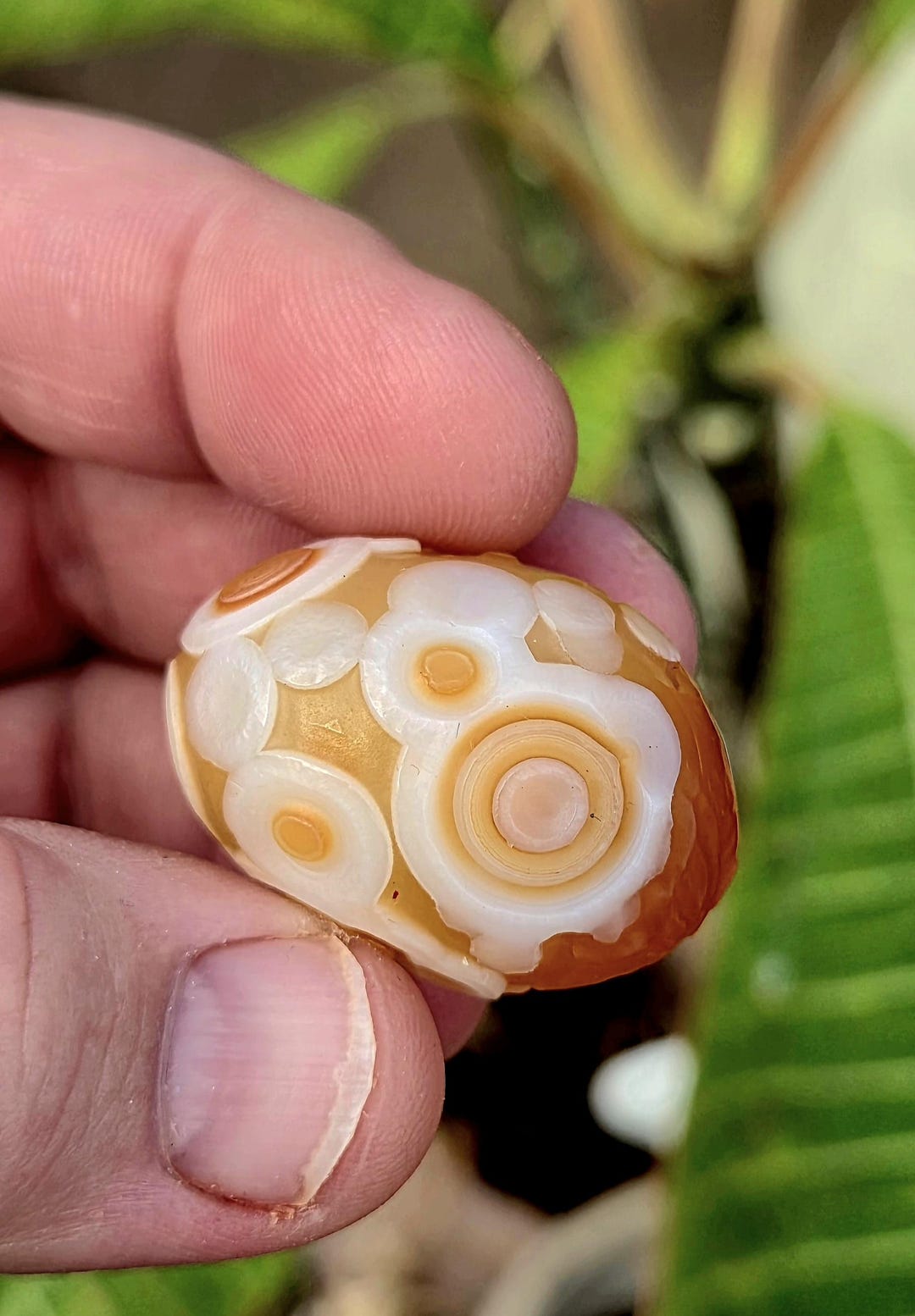 Brilliant Gobi Eye Agate Tumble! Gobi Eye Agate Stone. Colorful Gobi ...