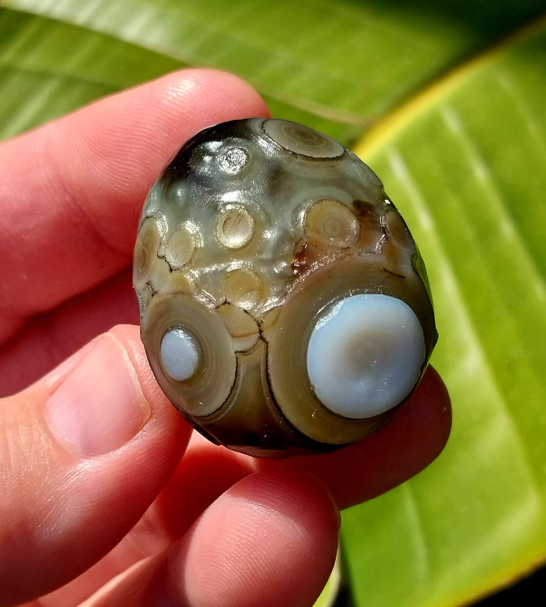 Marvelous Green and Black Gobi Eye Agate Palmstone! Gobi Eye Agate ...