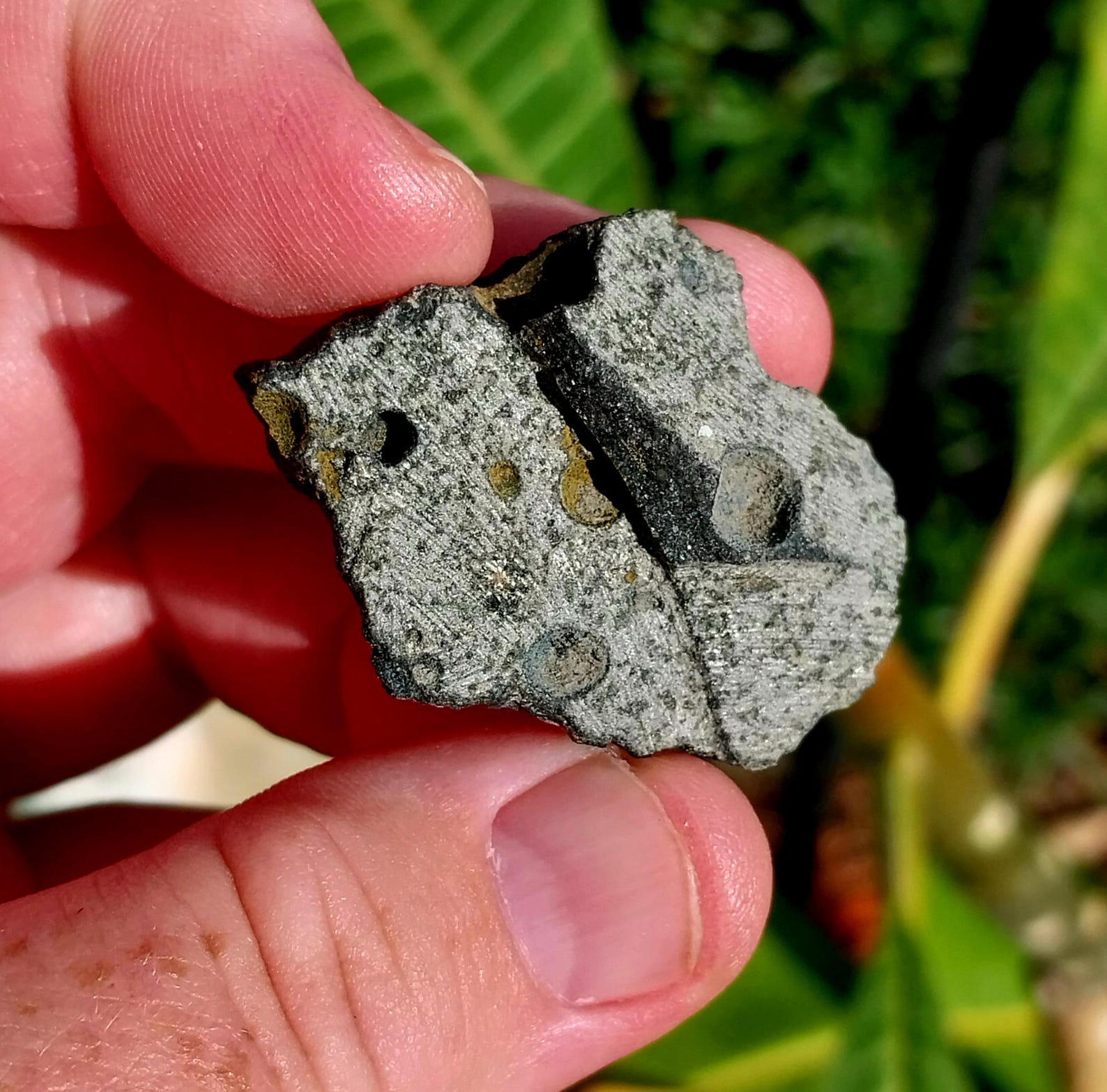 Rare Botroiydal Globular White Calcite in Basalt Matrix! Rare Minerals ...