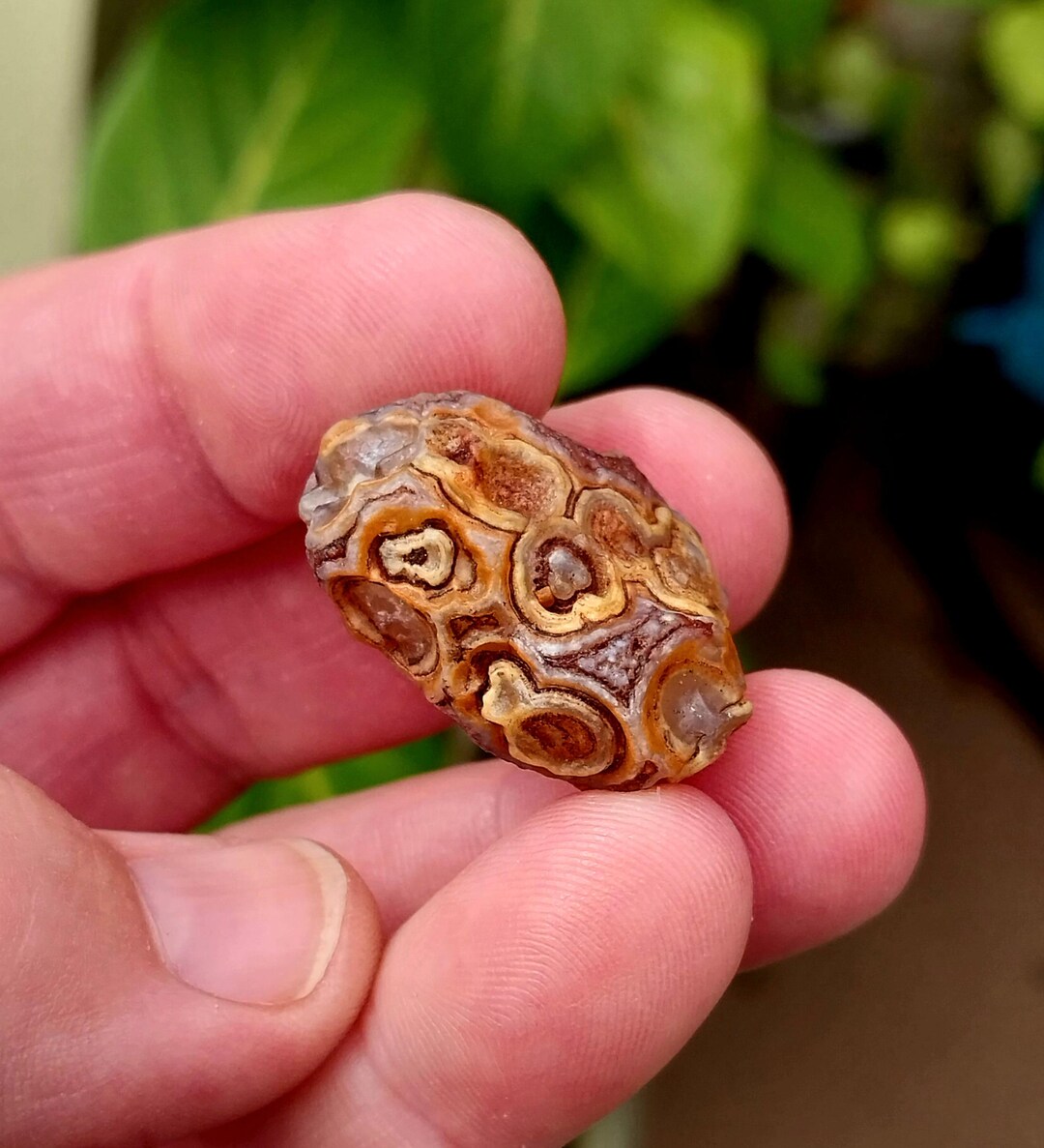 Extremely Rare Purple and Pink Gobi Eye Agate Palmstone! Colorful Gobi ...