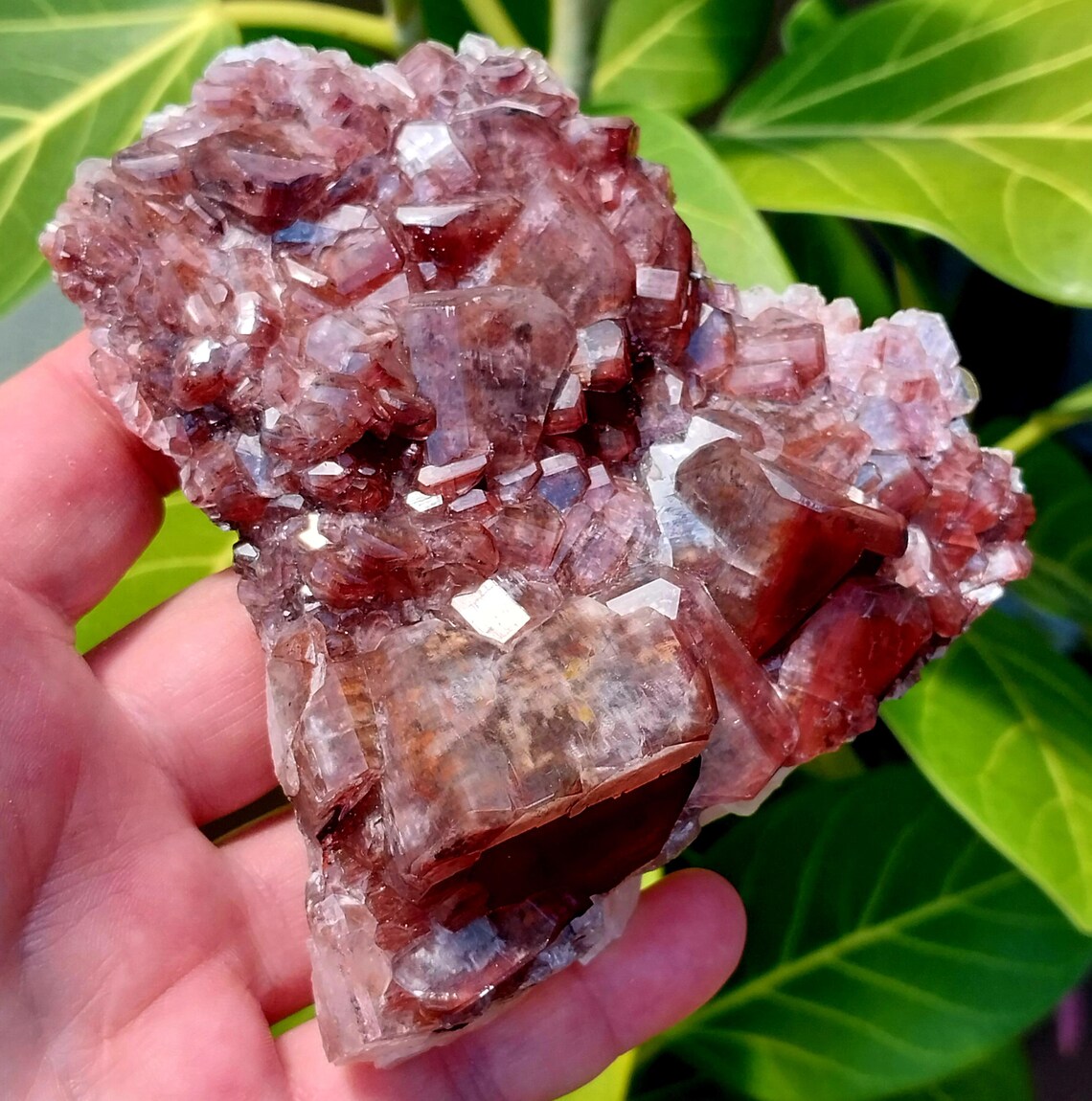 Large Rare Cubic Chocolate Calcite Specimen! Deep Red Hematite Calcite ...