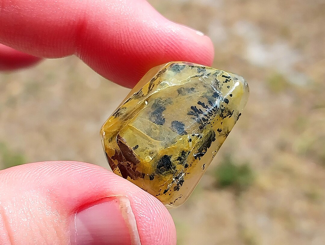 Juicy Dendritic Quartz With Golden Healer Dendritic Quartz. Dendrite ...