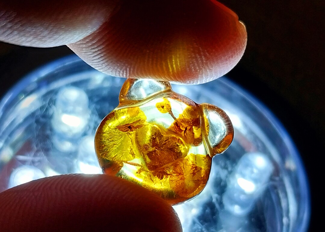 UV Reactive Top Quality Baltic Amber Teddy Bear. Baltic Amber. Teddy ...